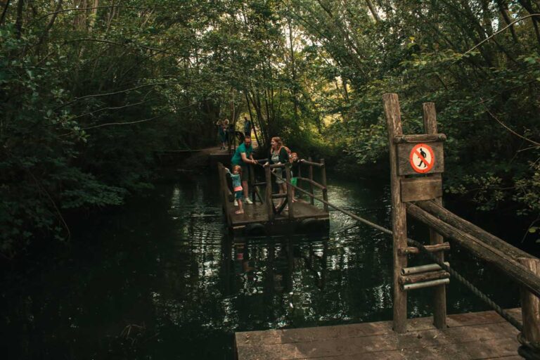 Activiteiten - Erve Brooks